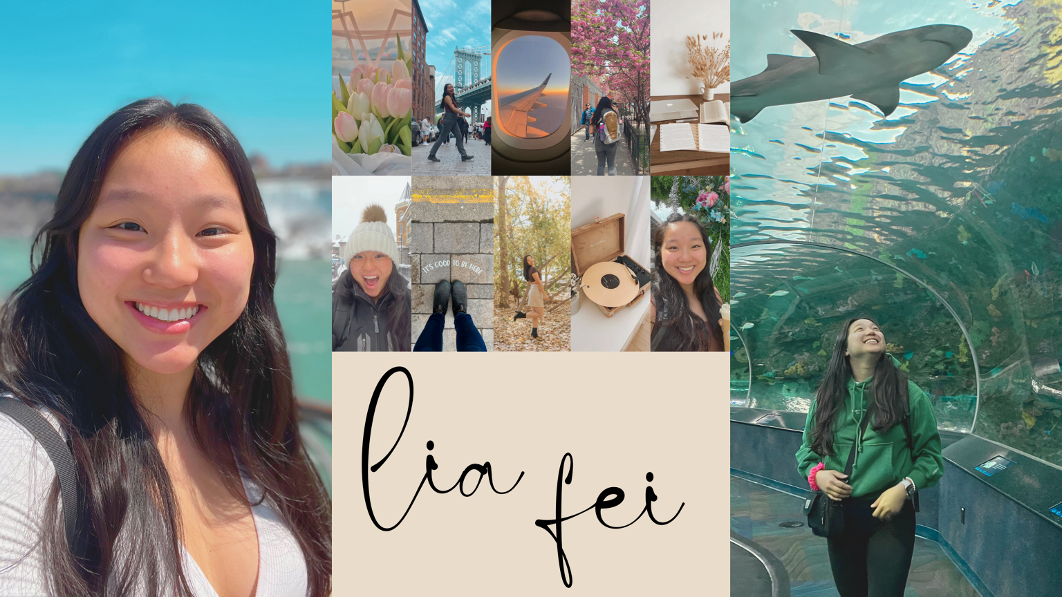 @lia_fei_ lnk.bio