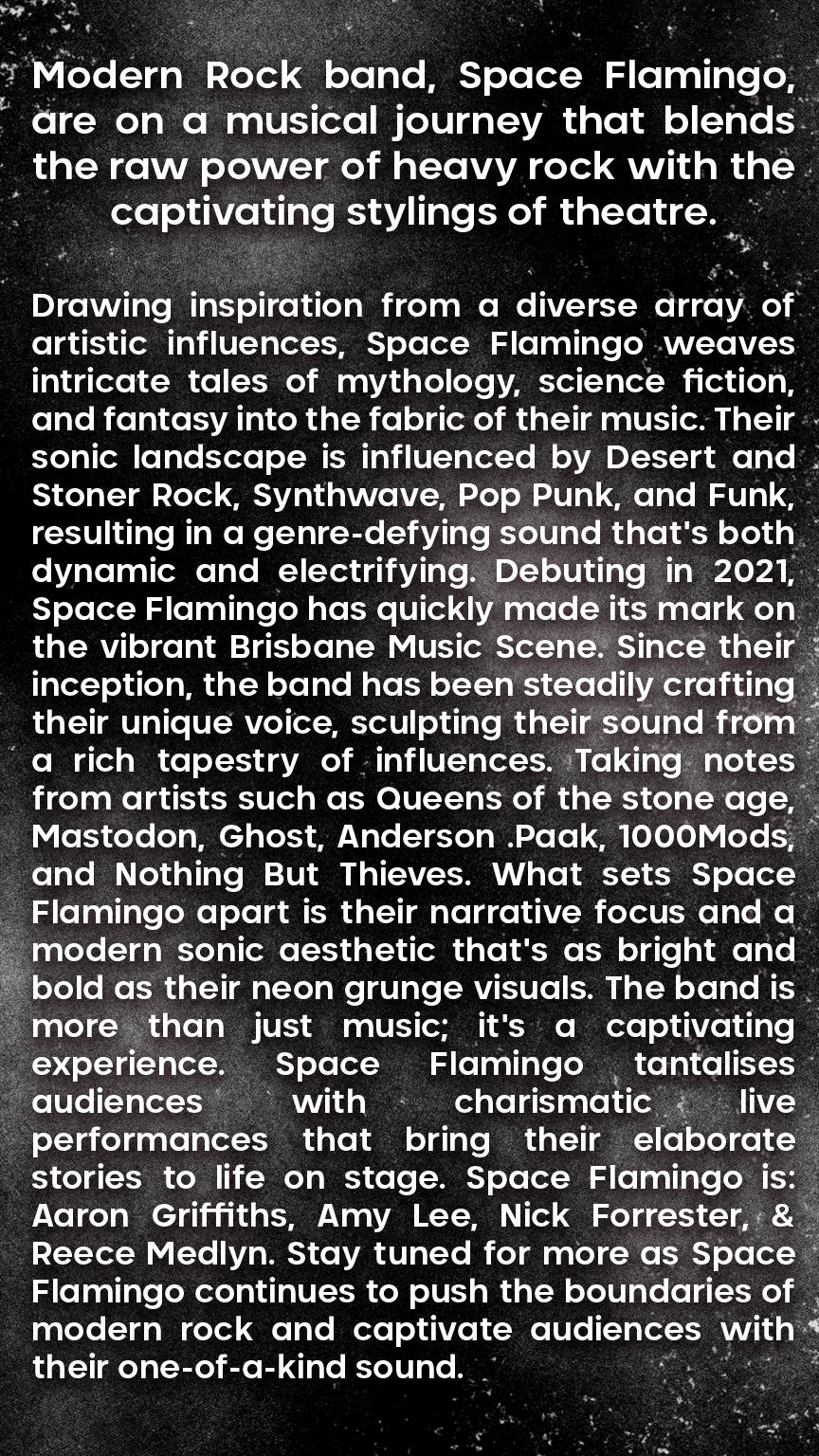 @spaceflamingoofficial