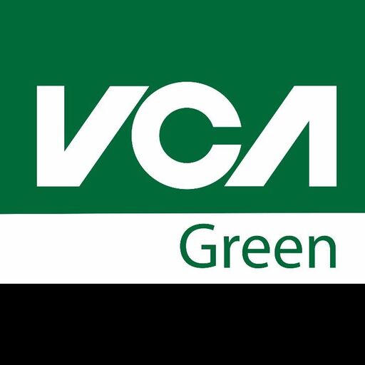 @vcagreen Lnk.Bio · link in bio