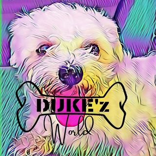 @dukez.world Lnk.Bio · link in bio