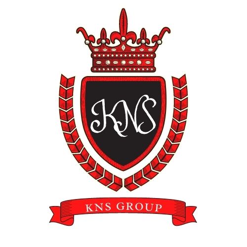 KNS Group Lnk.Bio · link in bio