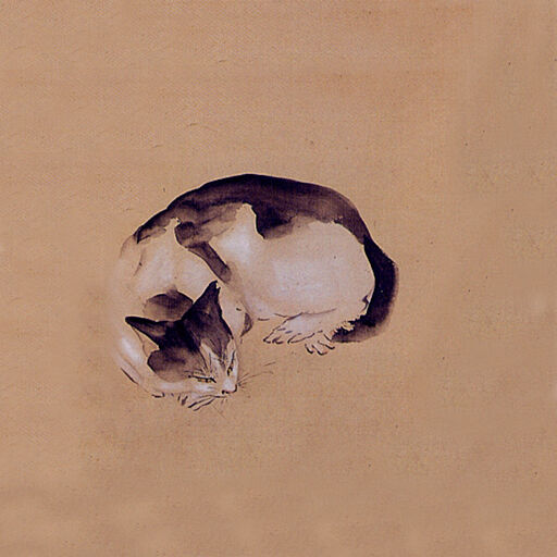 Cenri Lnk.Bio · link in bio