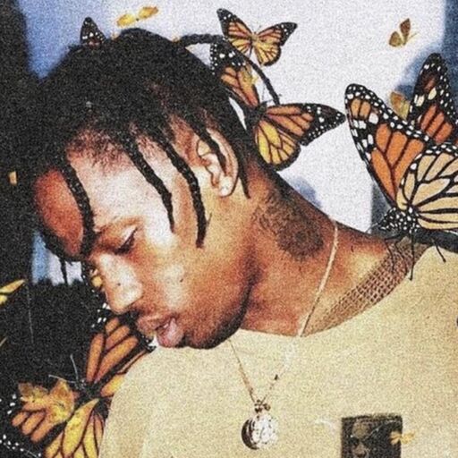 @temu.professor Lnk.Bio · link in bio