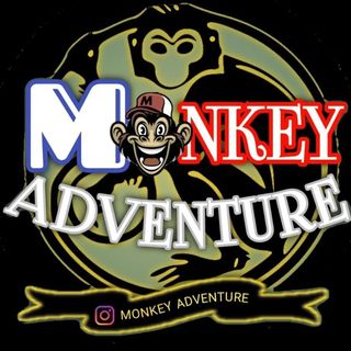 @monkey.adv Lnk.Bio · link in bio