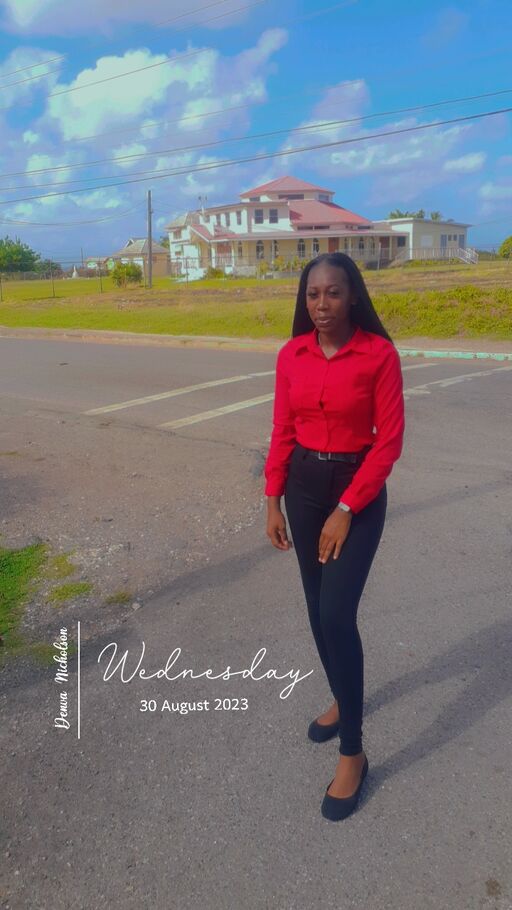 denva Lnk.Bio · link in bio