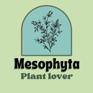 @mesophyta Lnk.Bio · link in bio