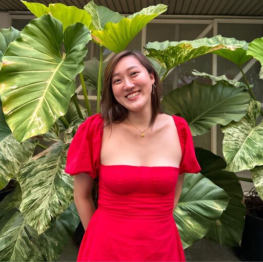 _cocoy Lnk.Bio · link in bio