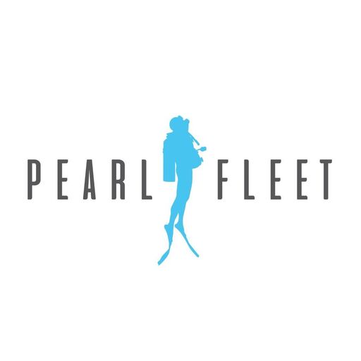 @pearlfleet Lnk.Bio · link in bio
