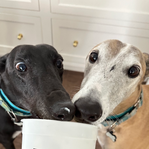 Amazon Storefront Lnk.Bio · link in bio