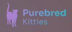 Purebred Kitties Lnk.Bio · link in bio