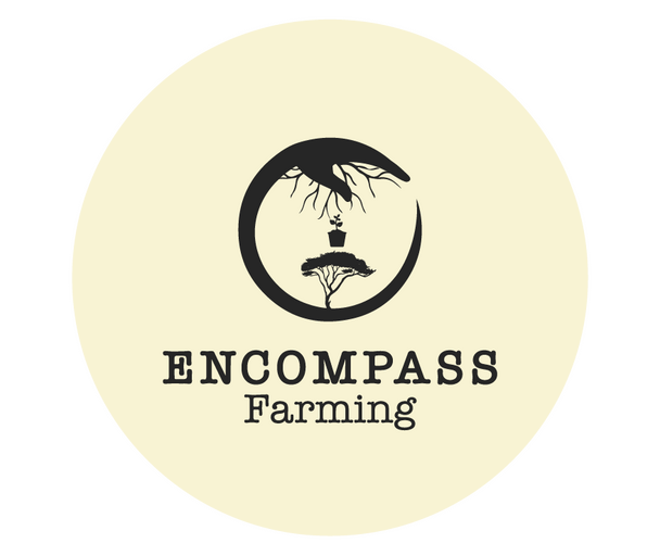 Encompass Website Lnk.Bio · link in bio