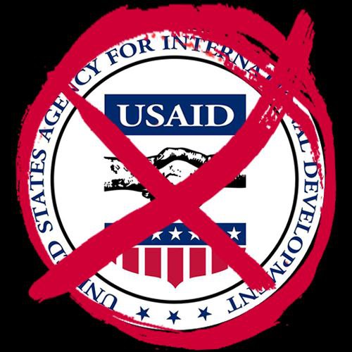 $USAID Lnk.Bio · link in bio