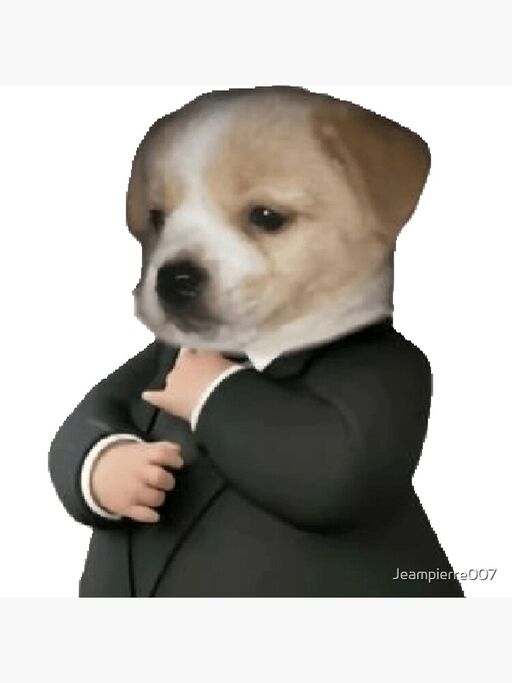 donate Lnk.Bio · link in bio