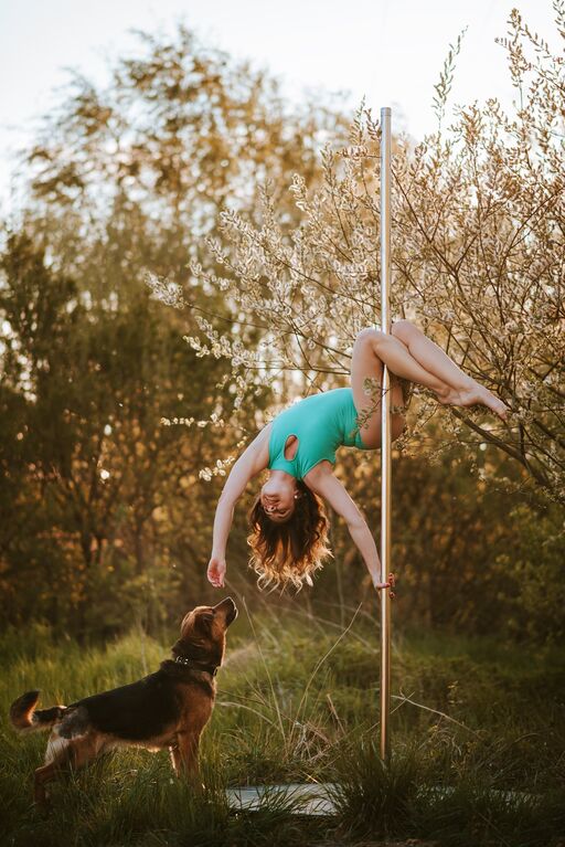pole_dogs Lnk.Bio · link in bio