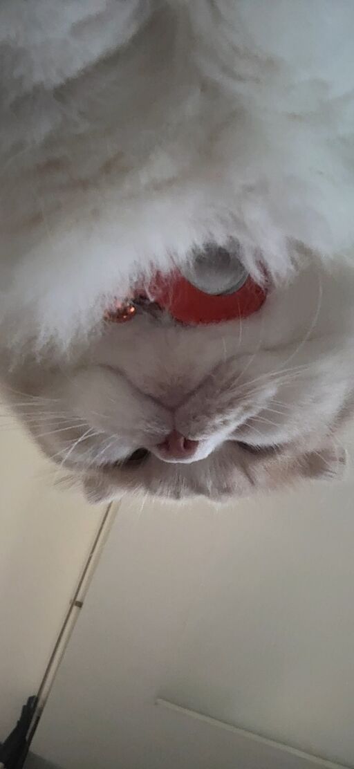 Donate Lnk.Bio · link in bio