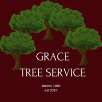 gctrees Lnk.Bio · link in bio