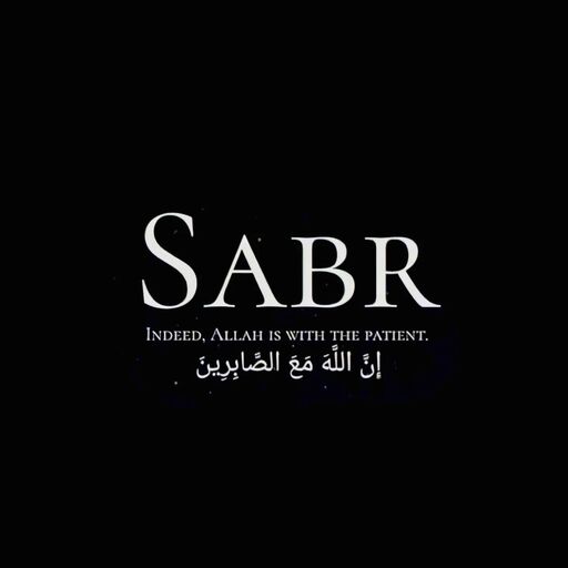 @official.ali.writes Lnk.Bio · link in bio
