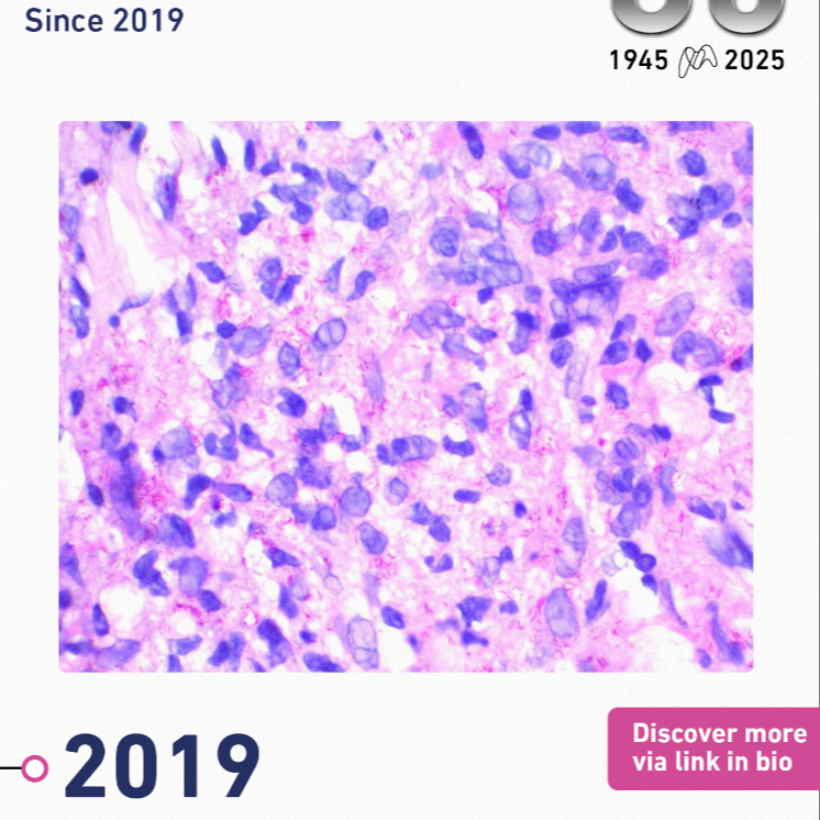 Microbiology Society | Lnk.bio