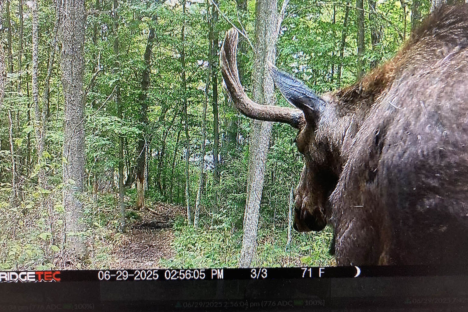 @adirondackexplorer Lnk.Bio · link in bio