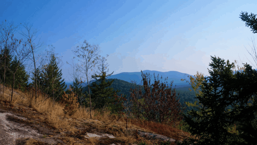 @adirondackexplorer Lnk.Bio · link in bio