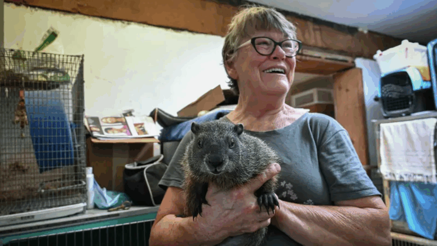 @adirondackexplorer Lnk.Bio · link in bio