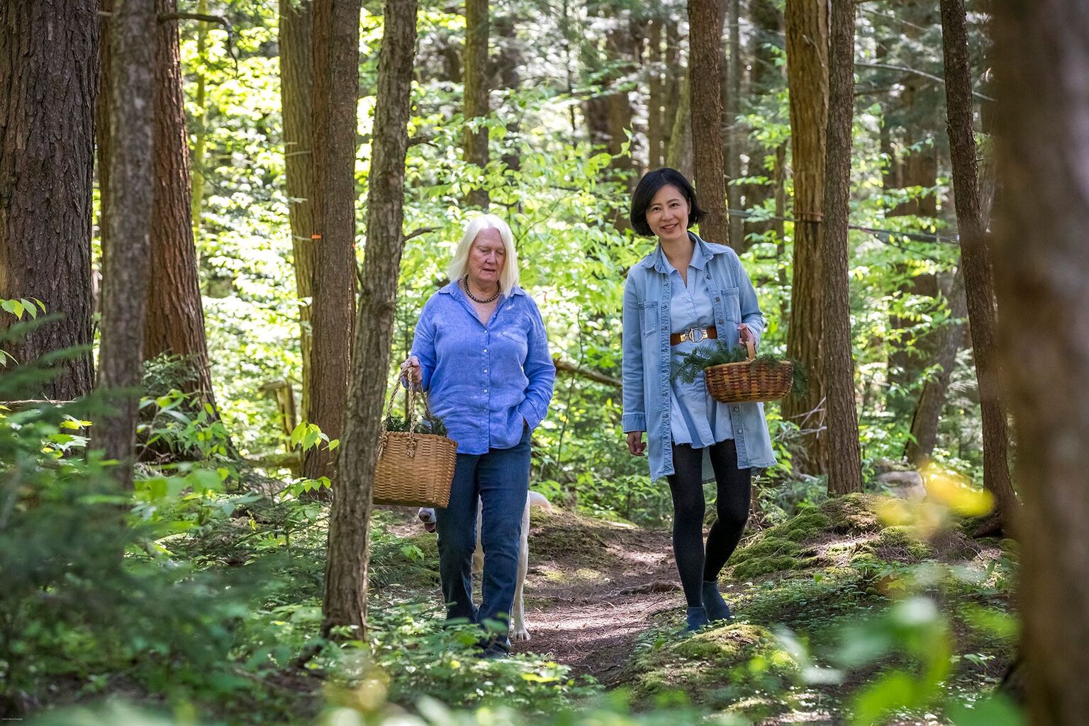 @adirondackexplorer Lnk.Bio · link in bio