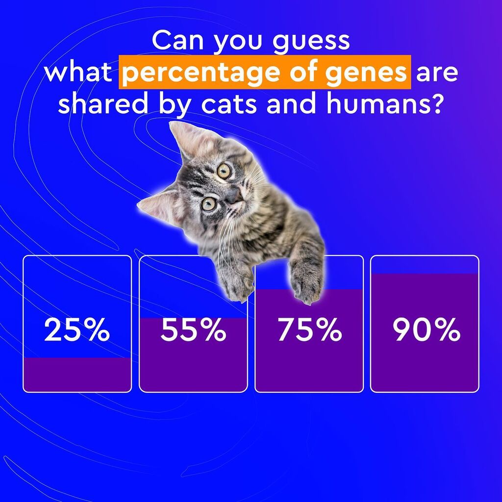 sapienship Lnk.Bio · link in bio