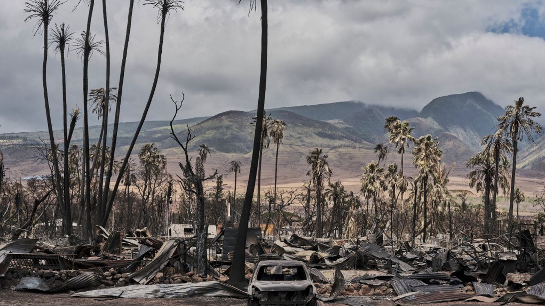 @workshopapd - Link in Bio