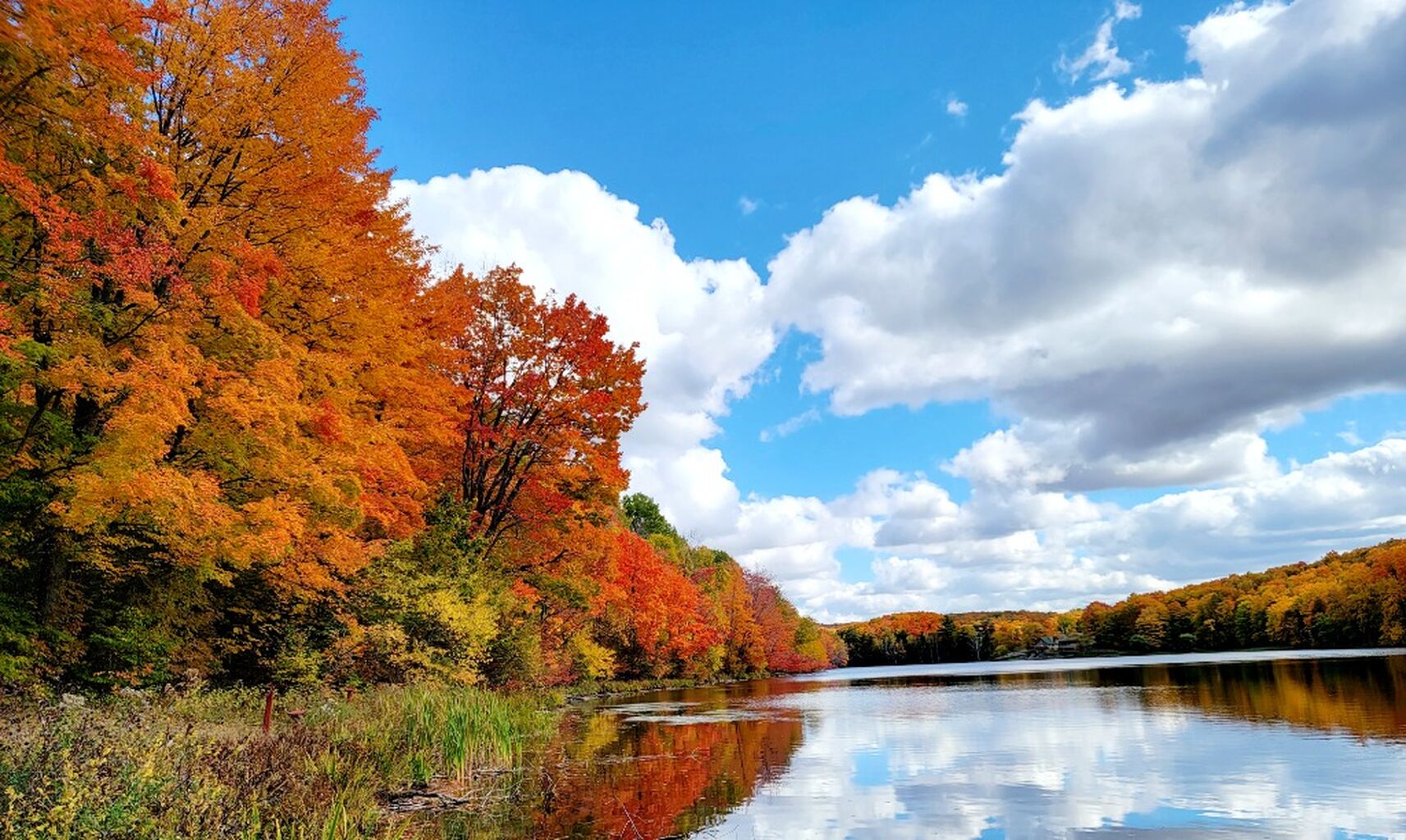 @mynorthmedia Lnk.Bio · link in bio