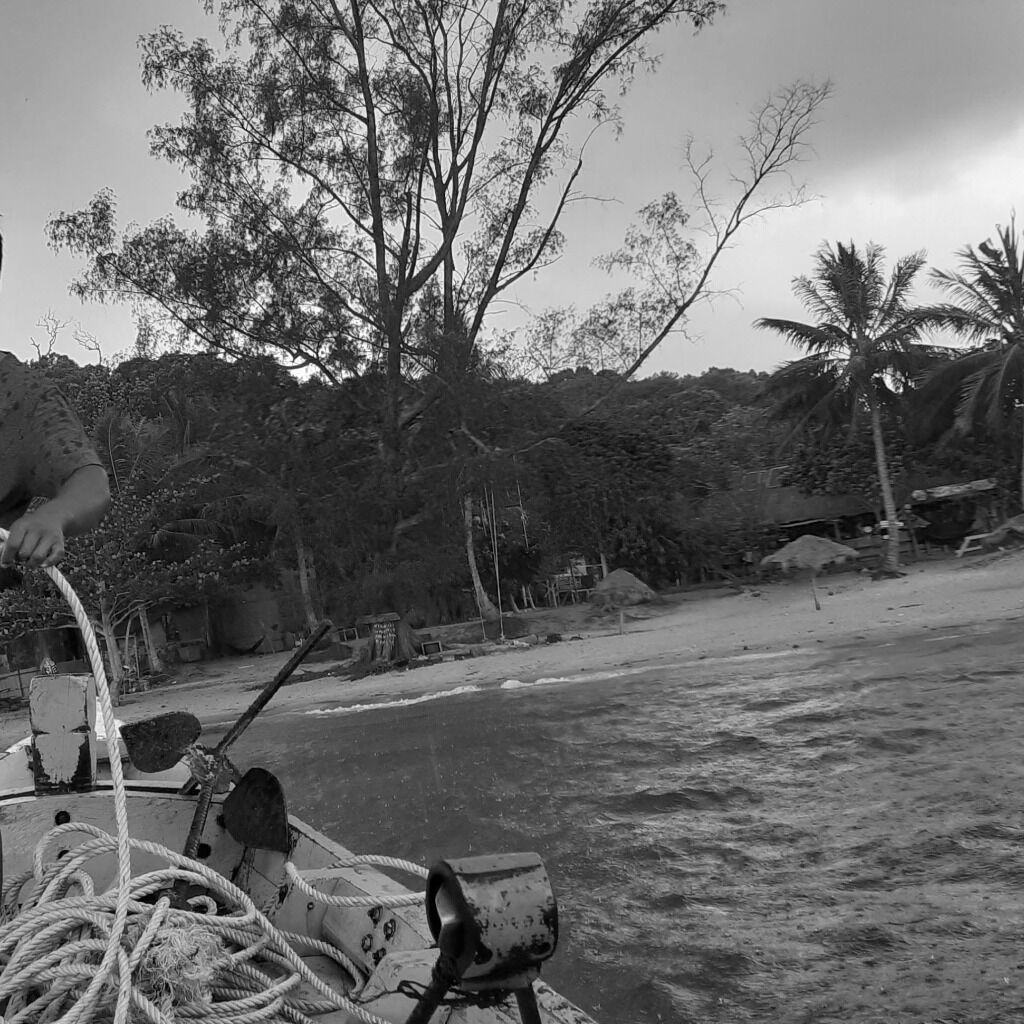 Majed Salih - The Official Site