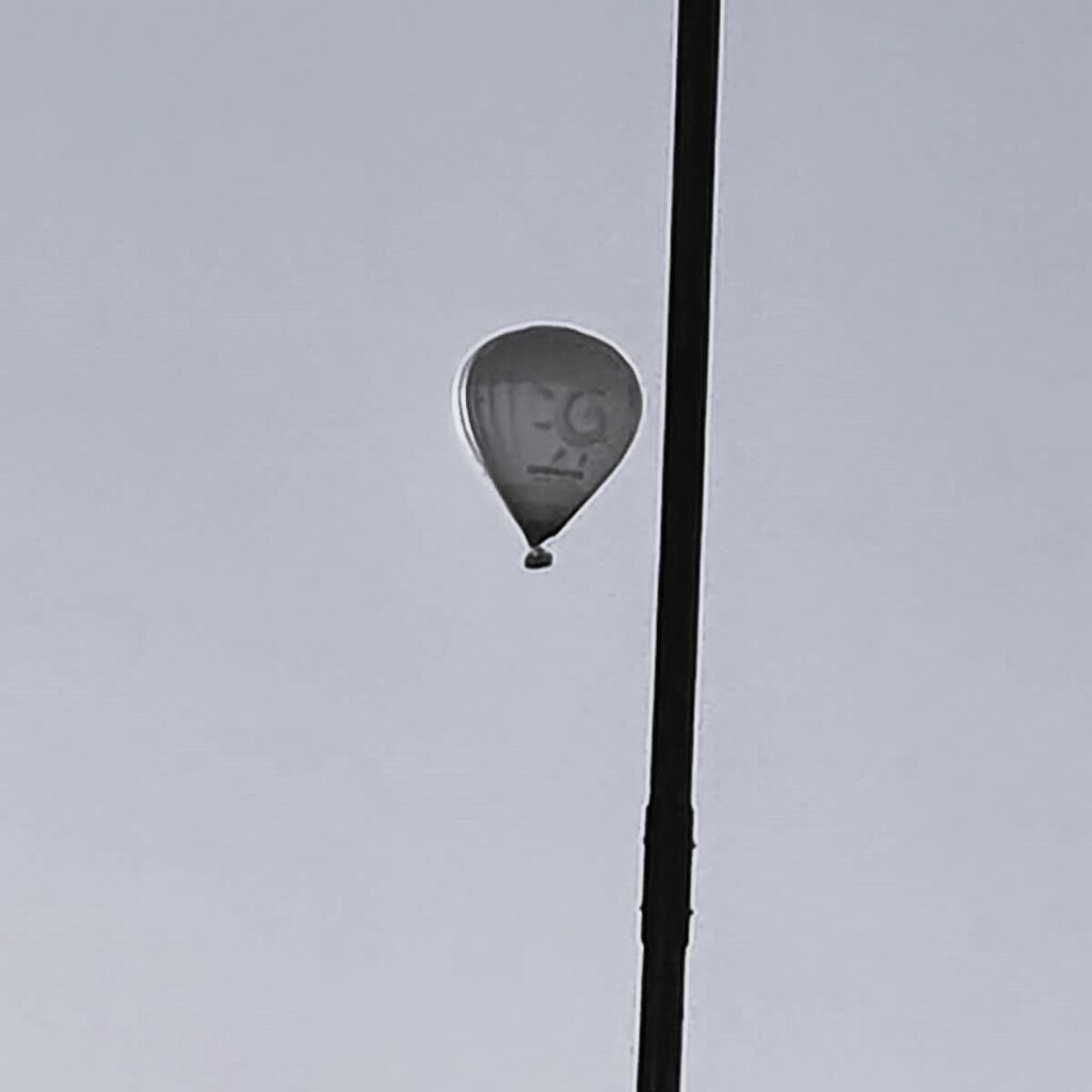 Majed Salih - The Official Site