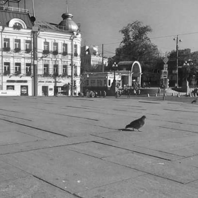 Majed Salih - The Official Site