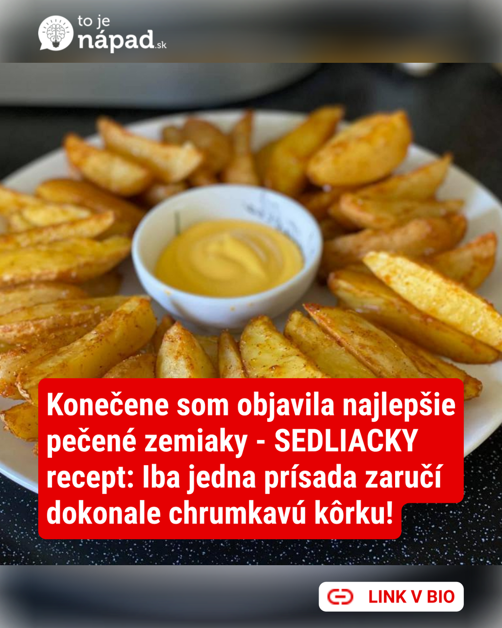 @tojenapad Lnk.Bio · link in bio