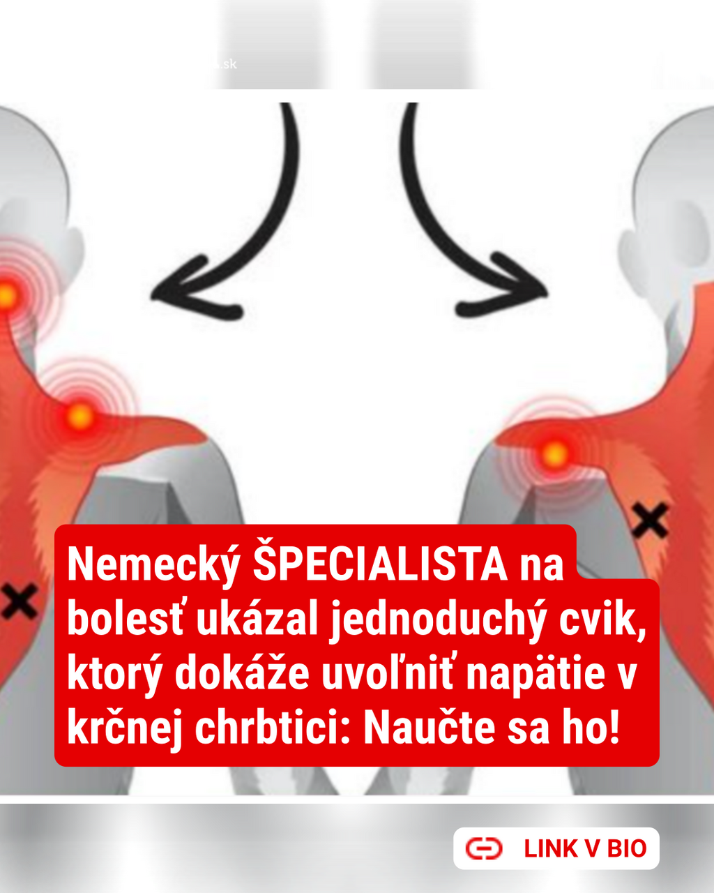 @tojenapad Lnk.Bio · link in bio