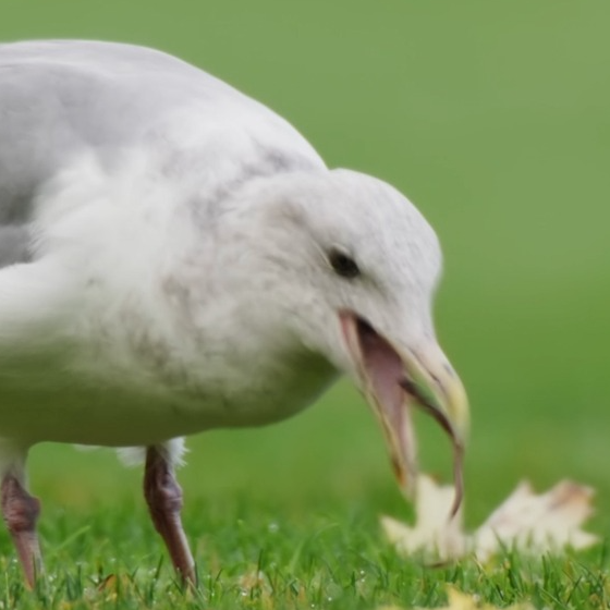 @cbcdocs Lnk.Bio · link in bio