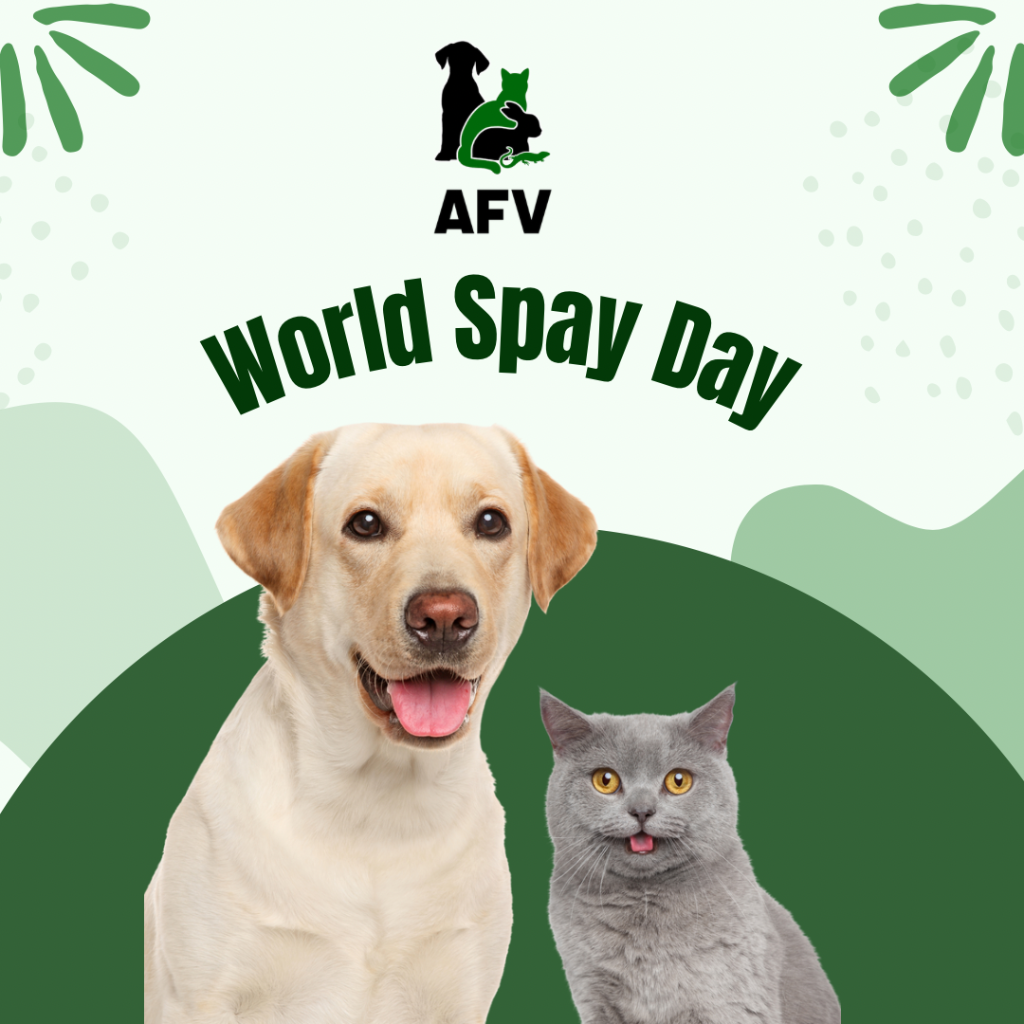 Animal Friends of the Valleys Lnk.Bio · link in bio