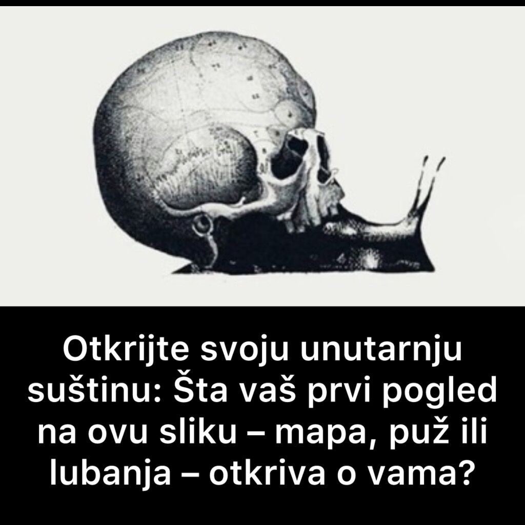 zanimljivosti Lnk.Bio · link in bio