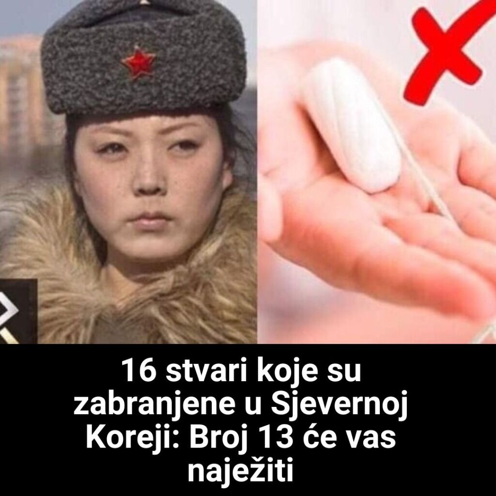 zanimljivosti Lnk.Bio · link in bio