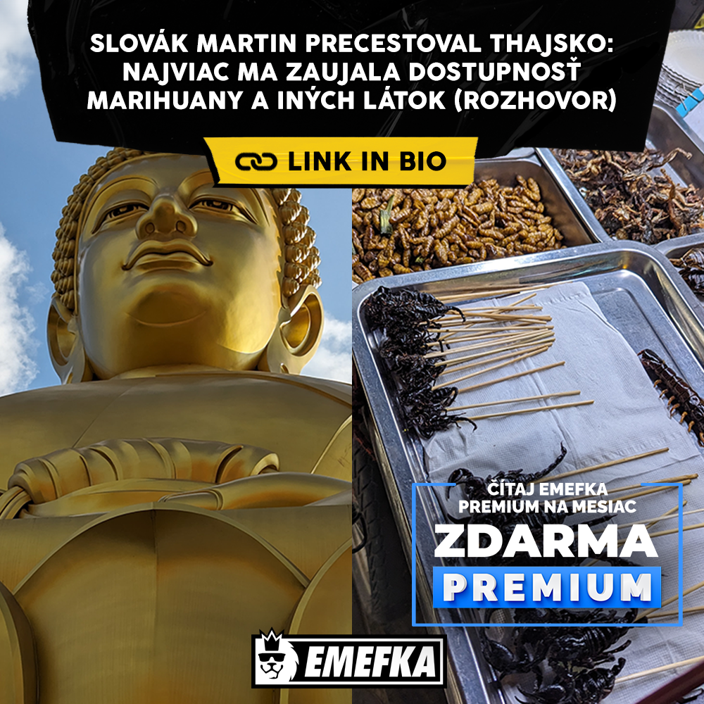 @emefka_official Lnk.Bio · link in bio