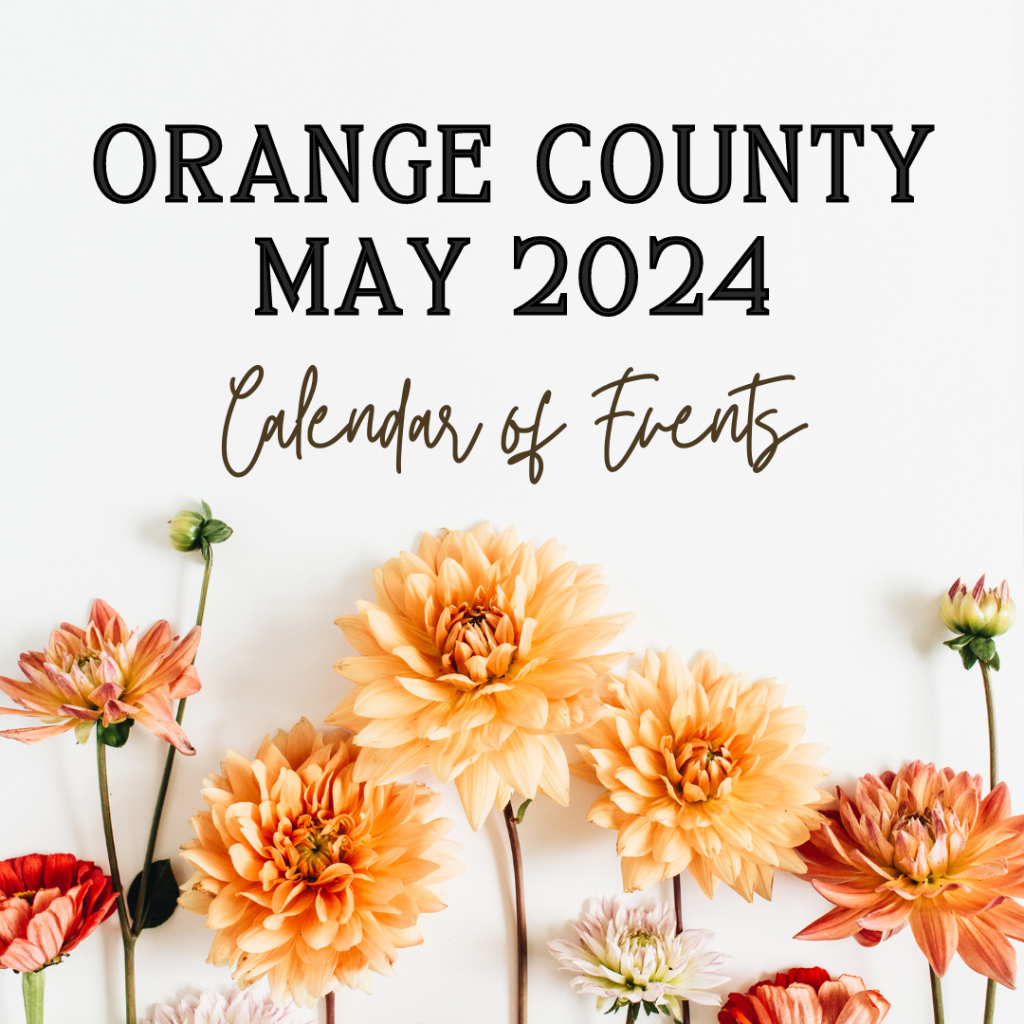 @thestephanieyoung Lnk.Bio · link in bio