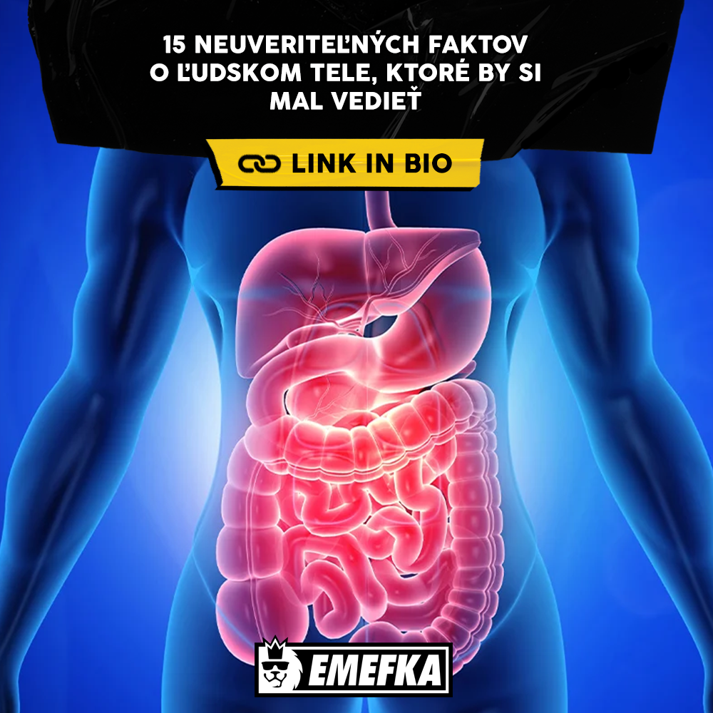 @emefka_official Lnk.Bio · link in bio