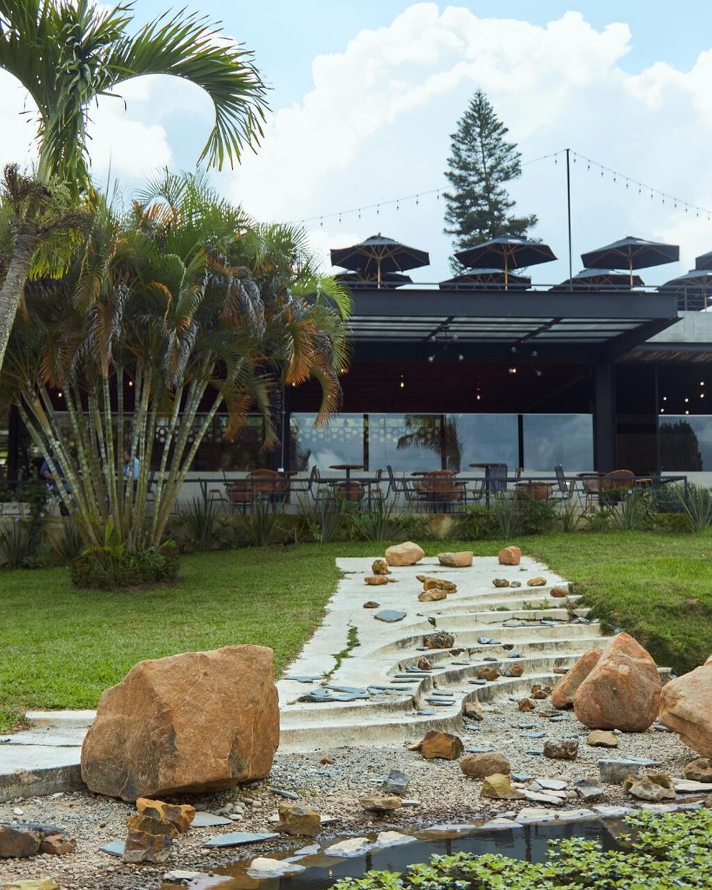 @palonegroecoparque Lnk.Bio · link in bio