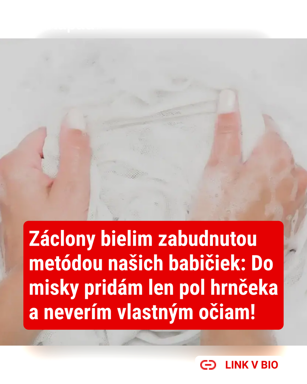 @tojenapad Lnk.Bio · link in bio