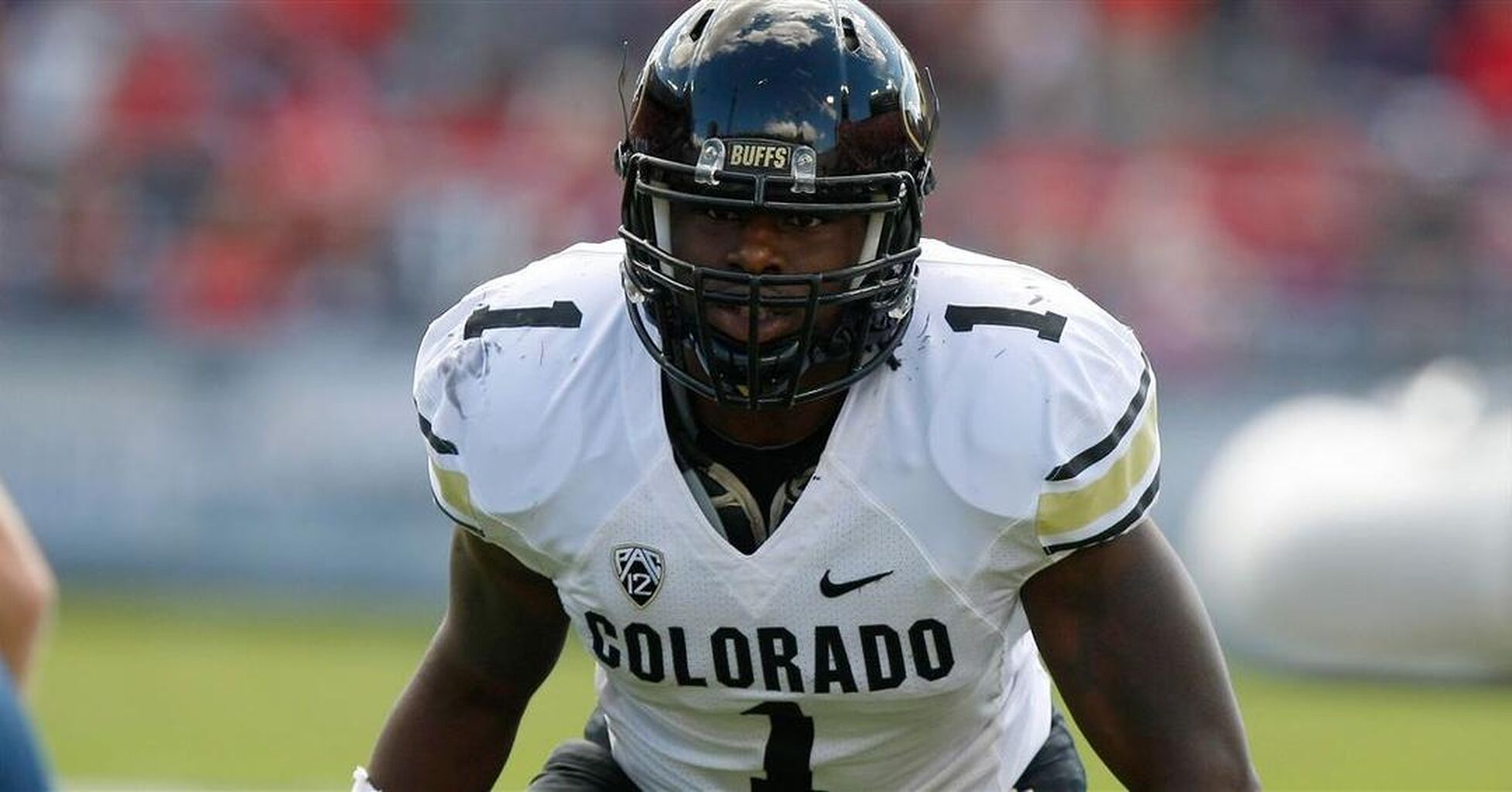 @buffstampededotcom Lnk.Bio · link in bio